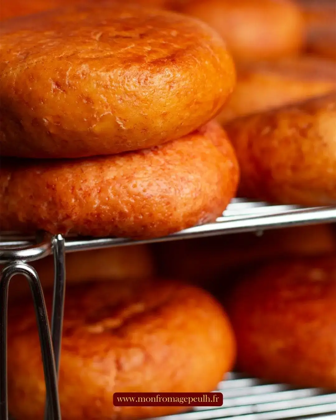 Mon Fromage Peulh du Bénin - Wagashi/Wangashi/Wara